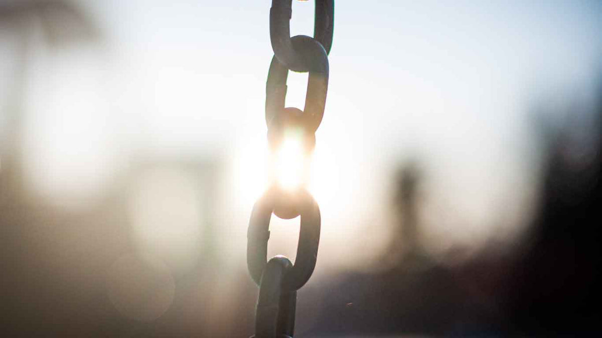 Monocle Madness | Monocle Chains – Monocle Madness™